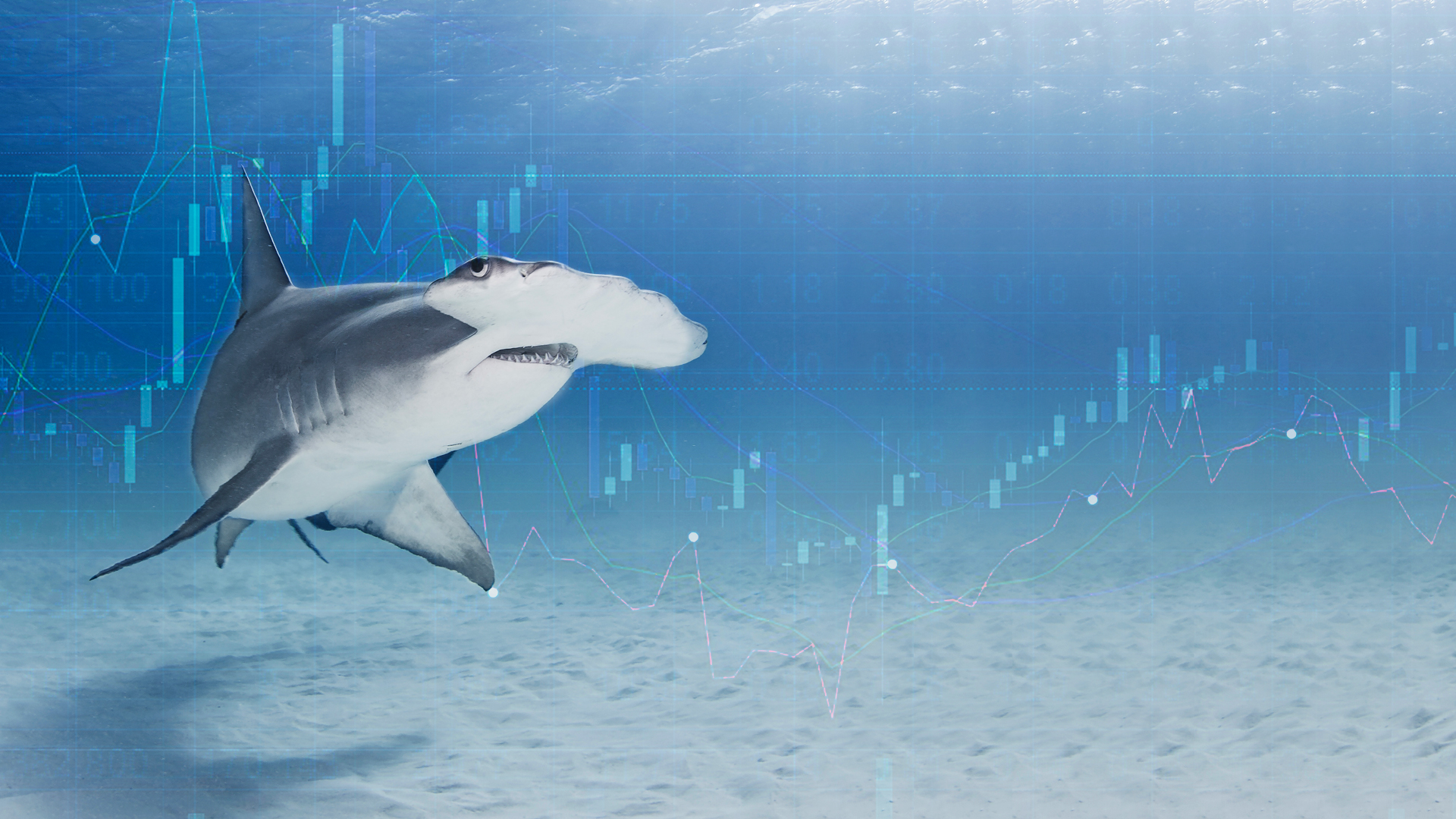 3 Anti-Inflation Assets, According to 'Shark' Kevin O'Leary | PennyBois ...